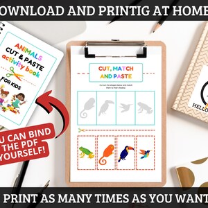 Cut and Paste Worksheet Activities Practice Sheets Cut and Glue ...