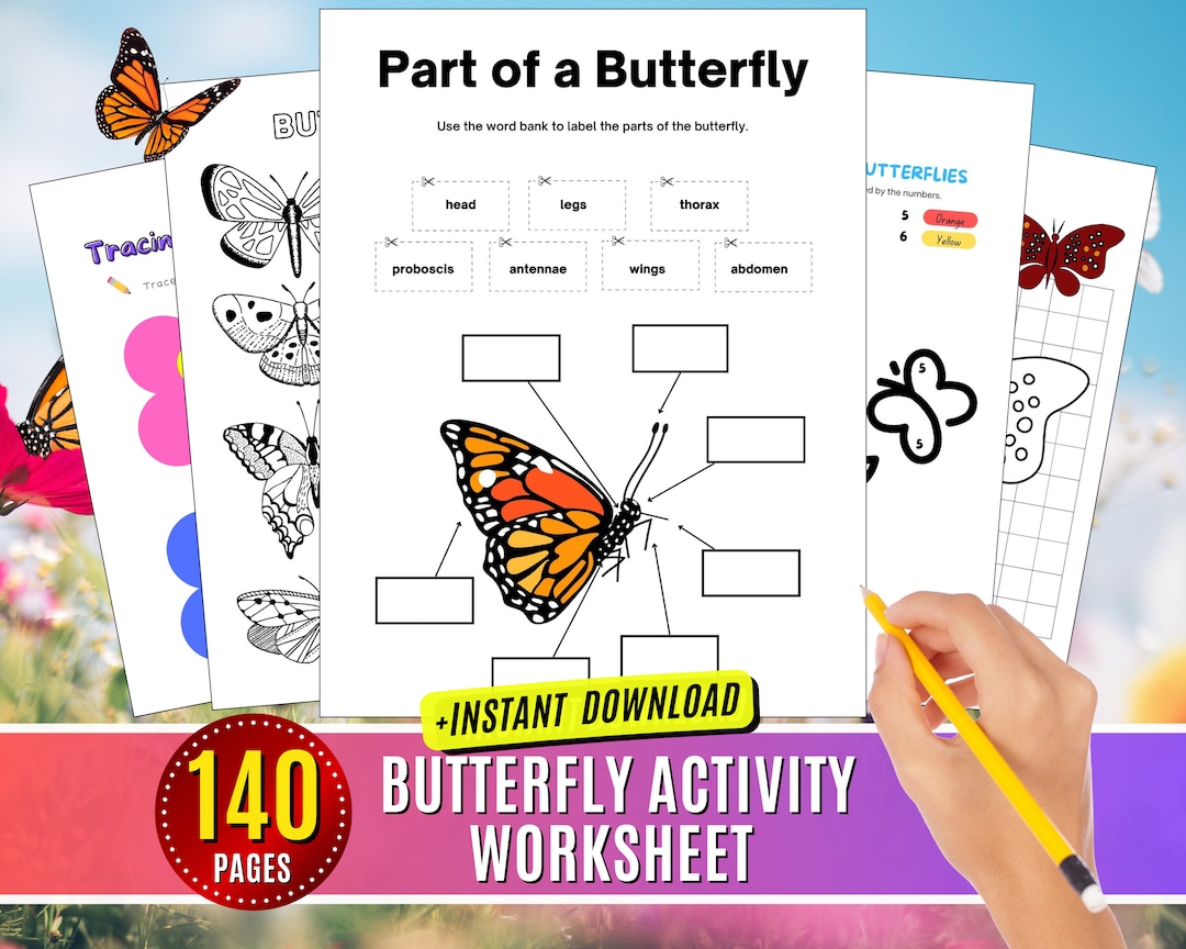Butterfly Worksheet Spring Activity for Kids Crafts Printable Butterfly ...