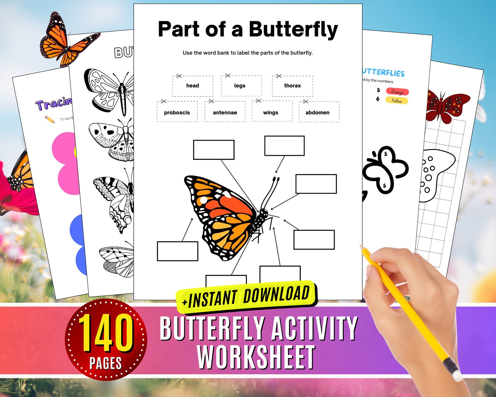 Butterfly Worksheet Spring Life Cycle Activity for Kids Crafts ...