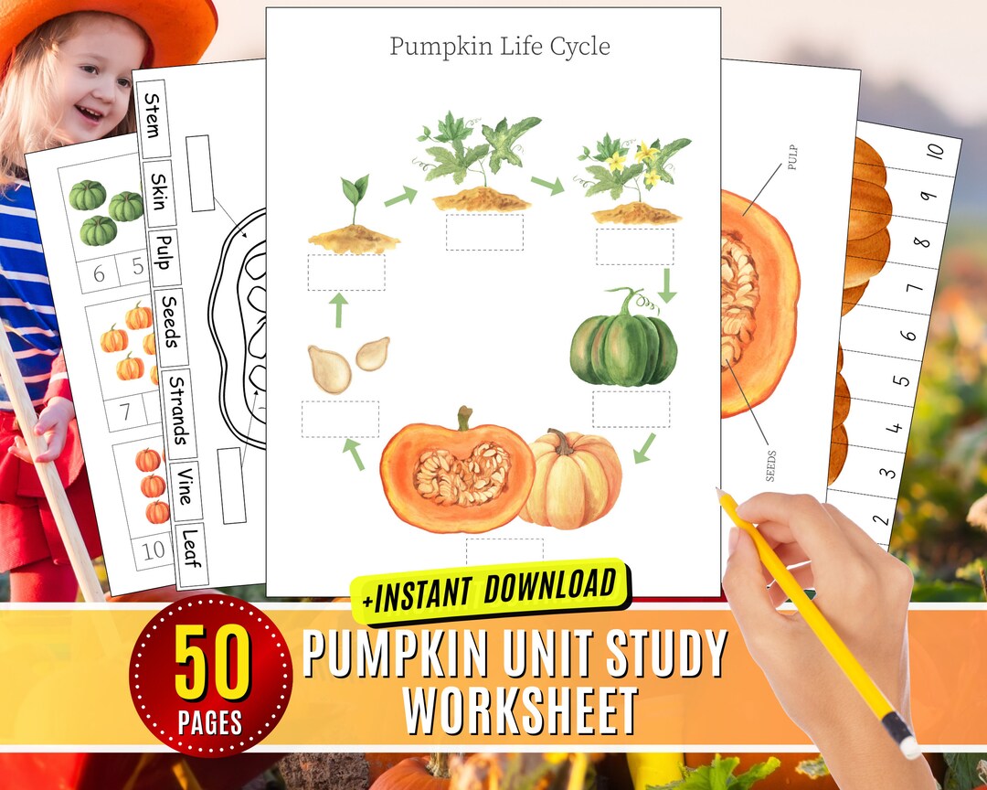 Pumpkin Life Cycle Unit Study Worksheet Homeschool Lessons Learning ...