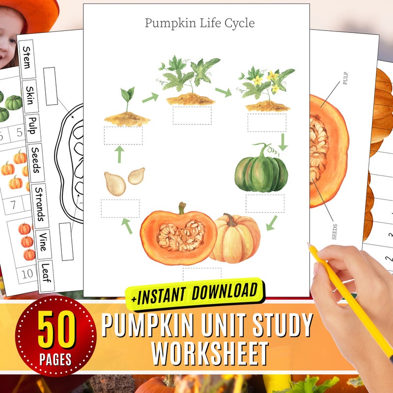 Life Cycle Puzzle - Etsy