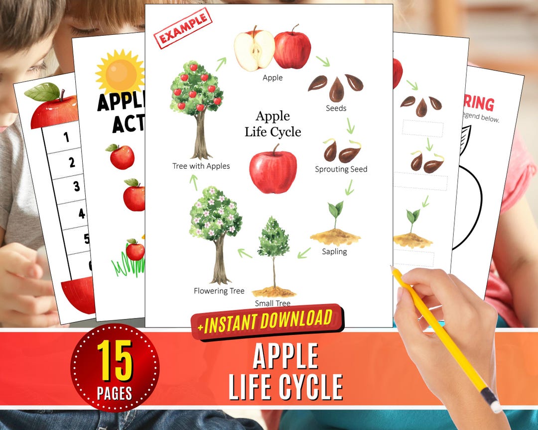 Apple Life Cycle Tree Science Unit Study Activity Workbook Apple ...