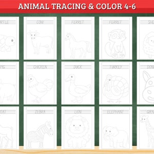 Tracing Animal Worksheet Practice Preschool Trace and Color Book Fine ...