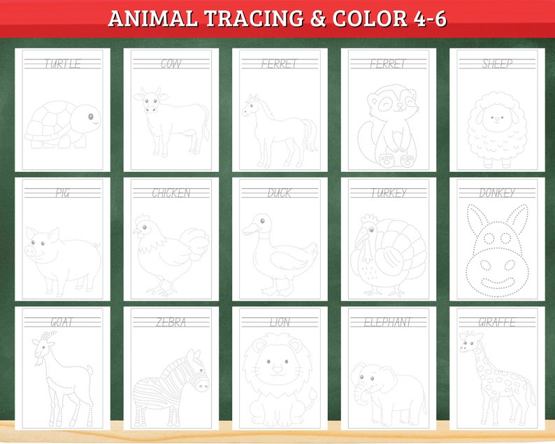 Tracing Animal Worksheet Practice Preschool Trace and Color Book Fine ...
