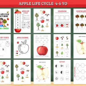 Apple Life Cycle Tree Science Unit Study Activity Workbook Apple ...