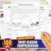 Reading Comprehension Worksheets: 2nd-3rd Grade English Activities ...
