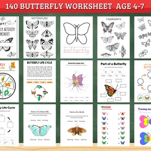Butterfly Worksheet Spring Life Cycle Activity for Kids Crafts ...