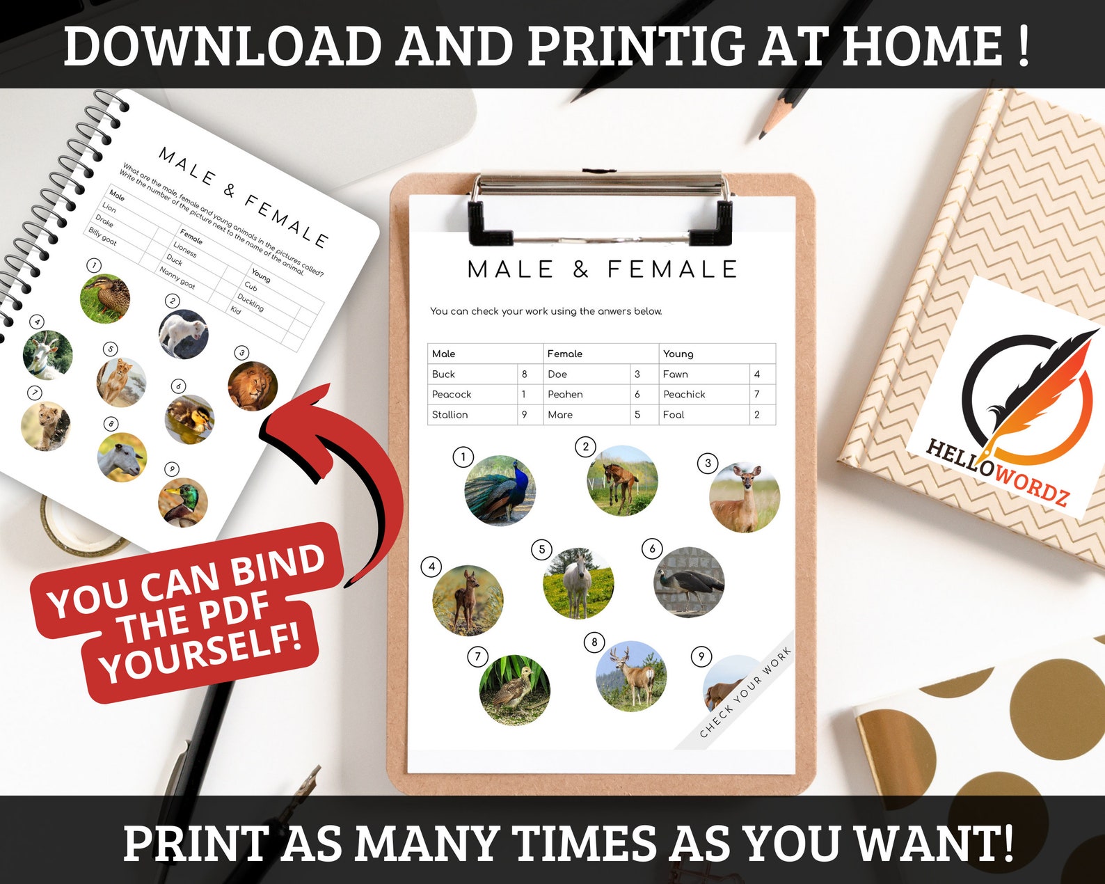 Worksheet Preschool Learning Activities, Bundle Digital Pre-k K ...