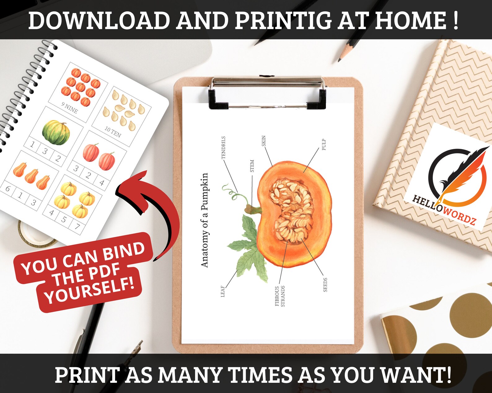 Pumpkin Life Cycle Unit Study Worksheet Homeschool Lessons Learning ...