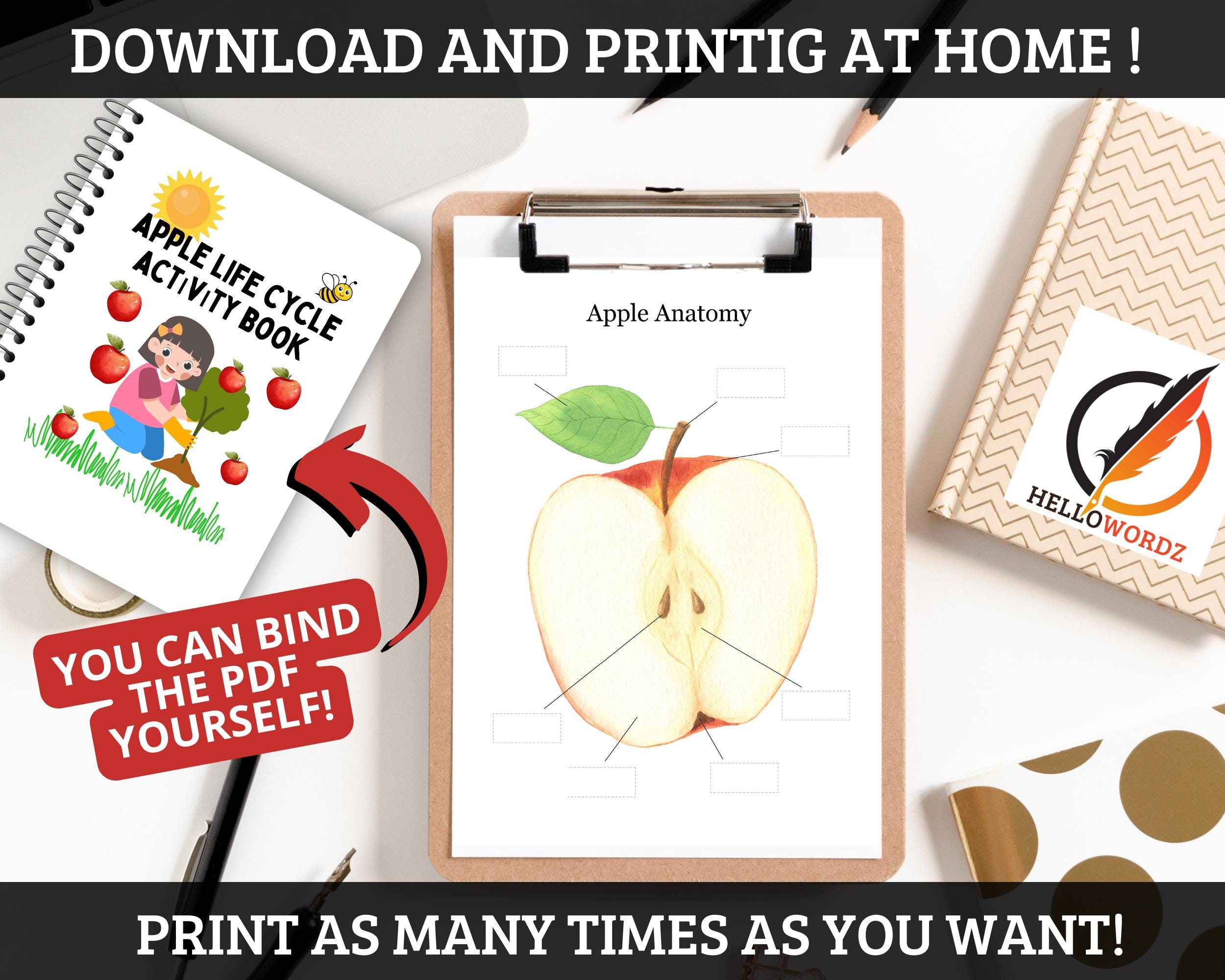 Apple Life Cycle Tree Science Unit Study Activity Workbook Apple ...