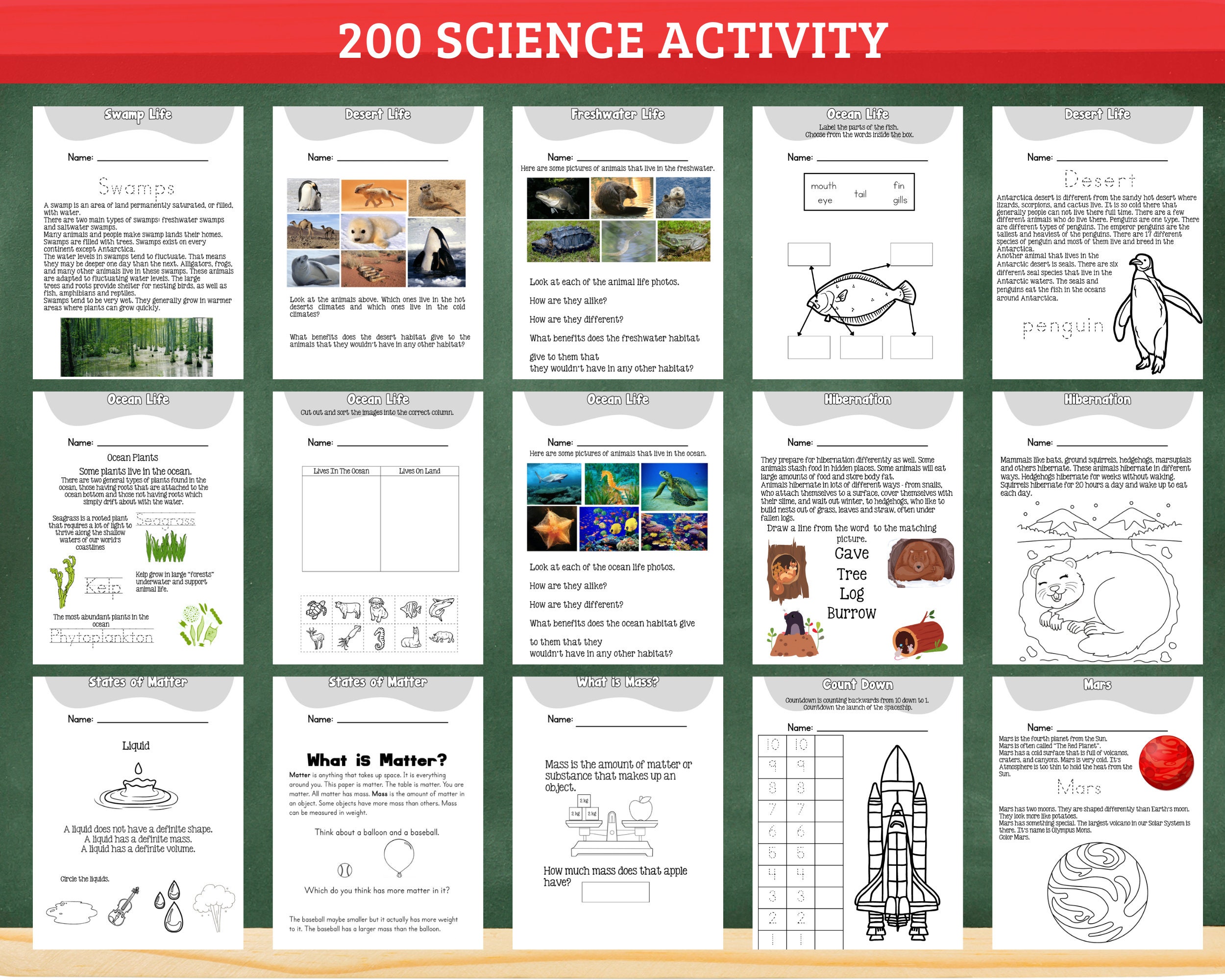 Science Worksheets Unit Study Activity Workbook Elementary Learning ...