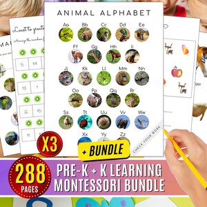 Worksheet Preschool Learning Activities, Bundle Digital Pre-k + K ...