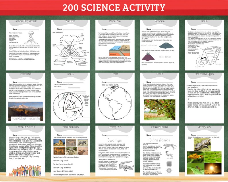Science Worksheets Unit Study Activity Workbook Elementary Learning ...