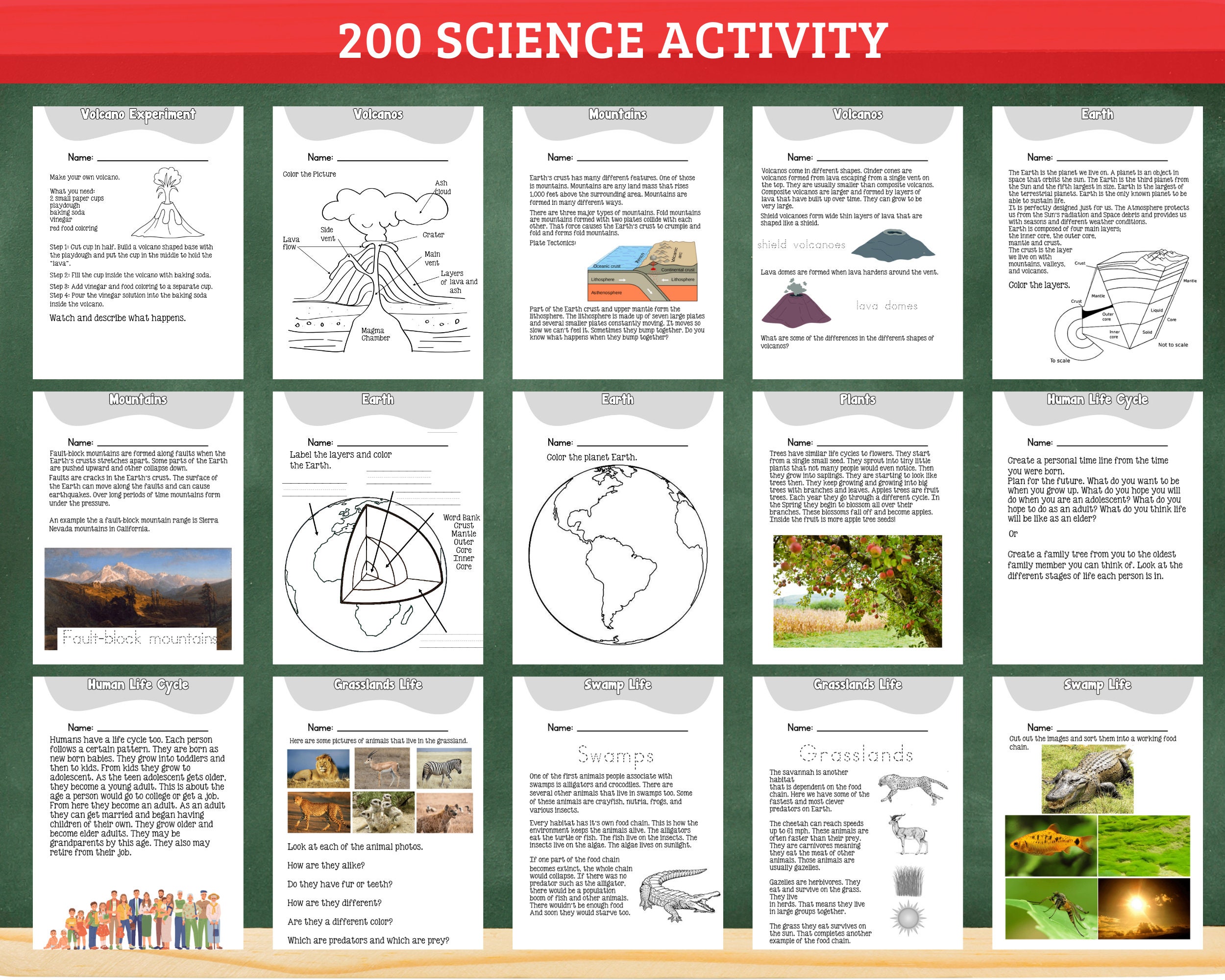 Science Worksheets Unit Study Activity Workbook Elementary Learning ...