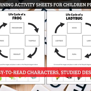 Life Cycle Worksheet, Butterfly Life Cycle Worksheet, Activity Life ...