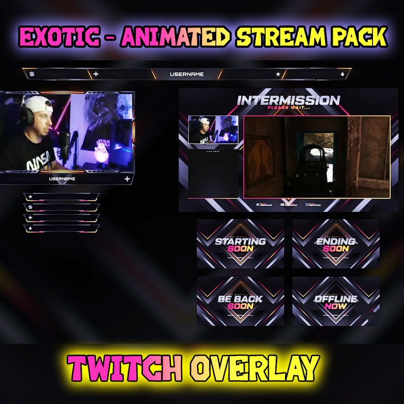 Animated Exotic Twitch Stream Overlays Package for Twitch, Youtube, OBS, Streamlabs in ...