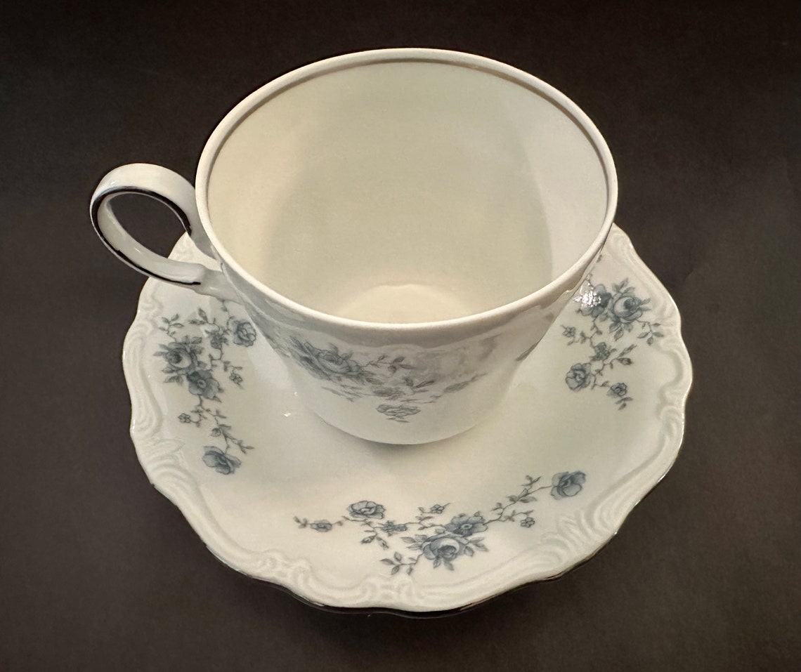 Vintage Flat-bottom Teacup and Saucer by Johann Haviland - Etsy