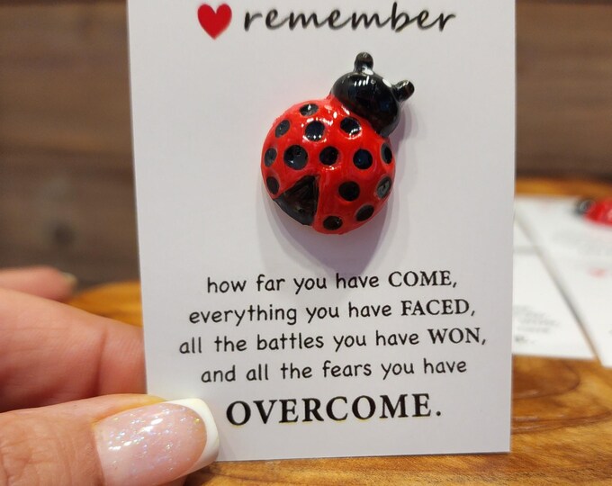 Adorable Lady Bug Pocket Hug Card, Ceramic Ornament, Ceramic Figurine ...