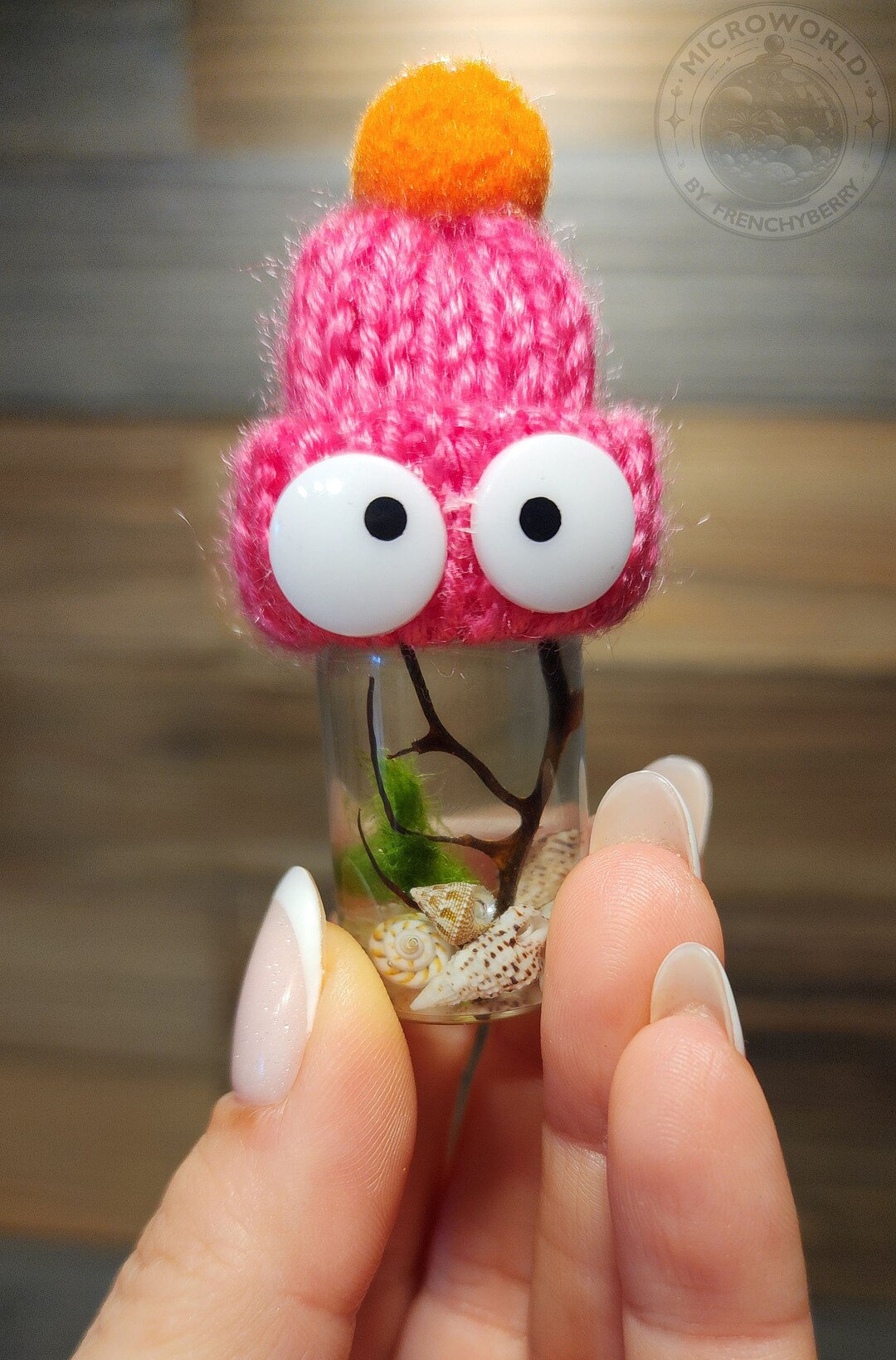 Aquascape Mini Closed Ecosystem, Live Nano Java Moss Terrarium, Closed ...