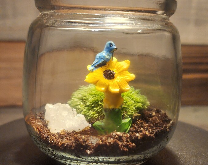 DIY Cute Mini Terrarium Kit With Live Moss, Natural Crystals, Fairy ...