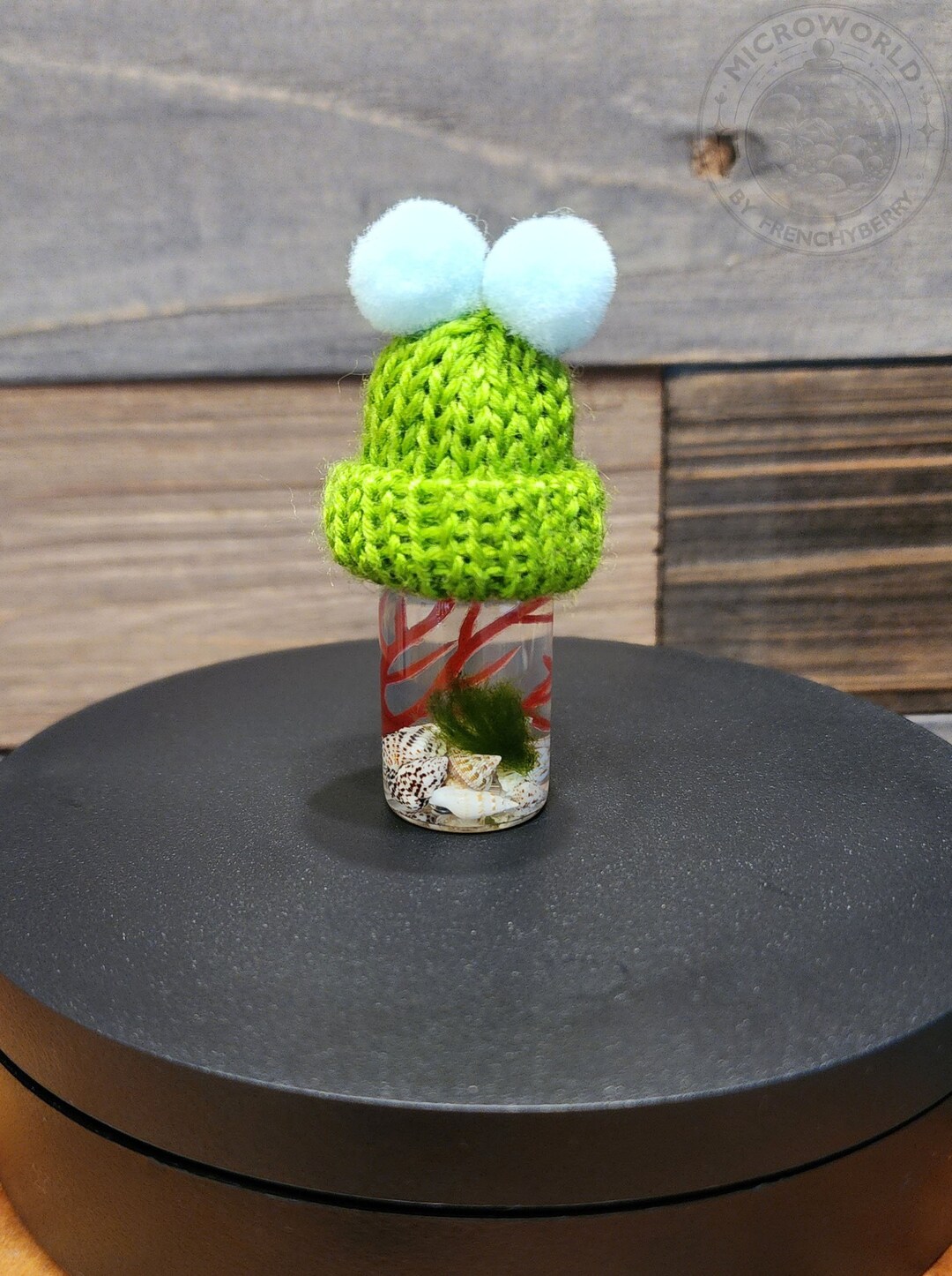 Aquascape Mini Closed Ecosystem, Live Nano Java Moss Terrarium, Closed ...