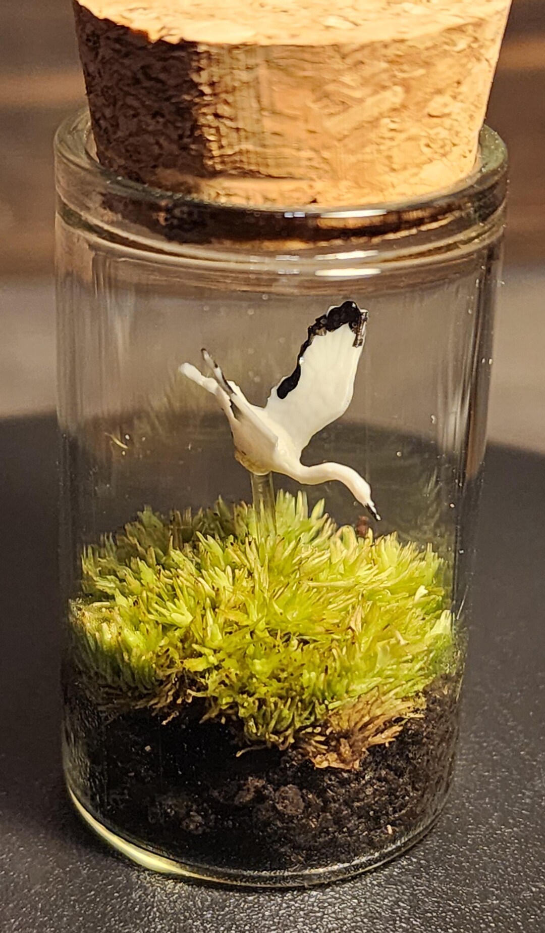 Cute Crane, DIY Cute Mini Terrarium Kit With Live Moss, Micro Bird ...