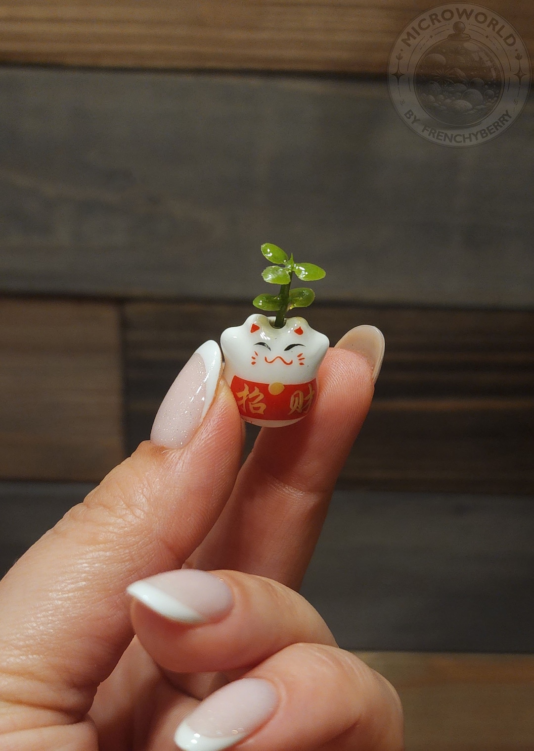 Miniature Lucky Cat, Fortune Cats, Ceramic Lucky Cat, Maneki Neko for ...