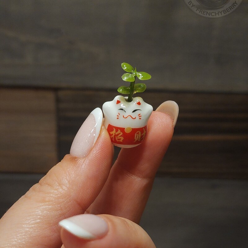 Good Luck Cat - Etsy