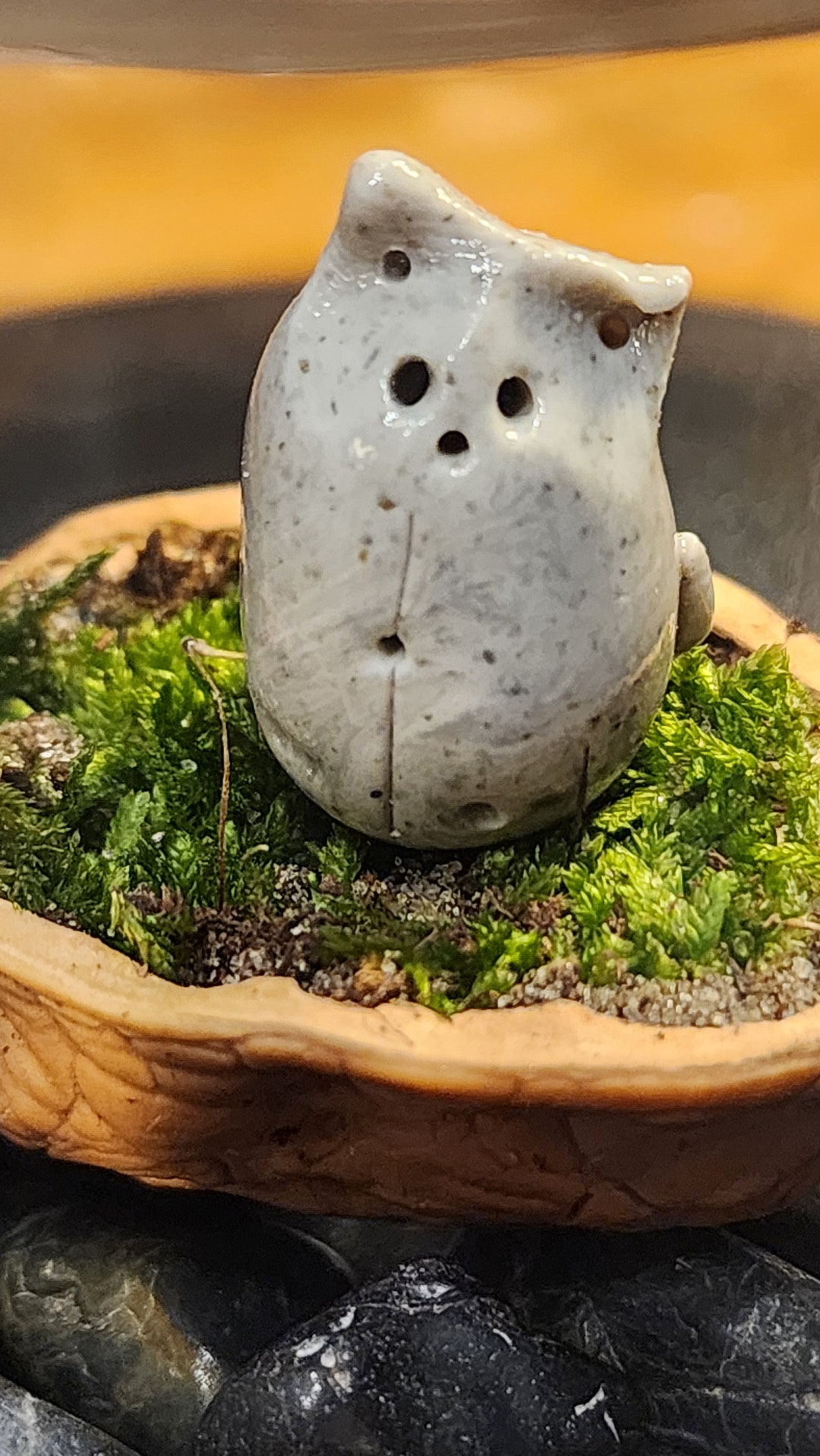 Cute Kitten DIY Live Moss Terrarium Kit, Fairy Garden, Housewarming ...