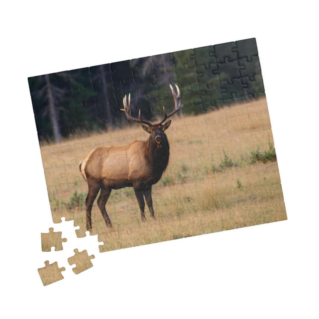 Elk Puzzle, Nature Print, Birthday Gift for Animal Lover, Wildlife Art ...