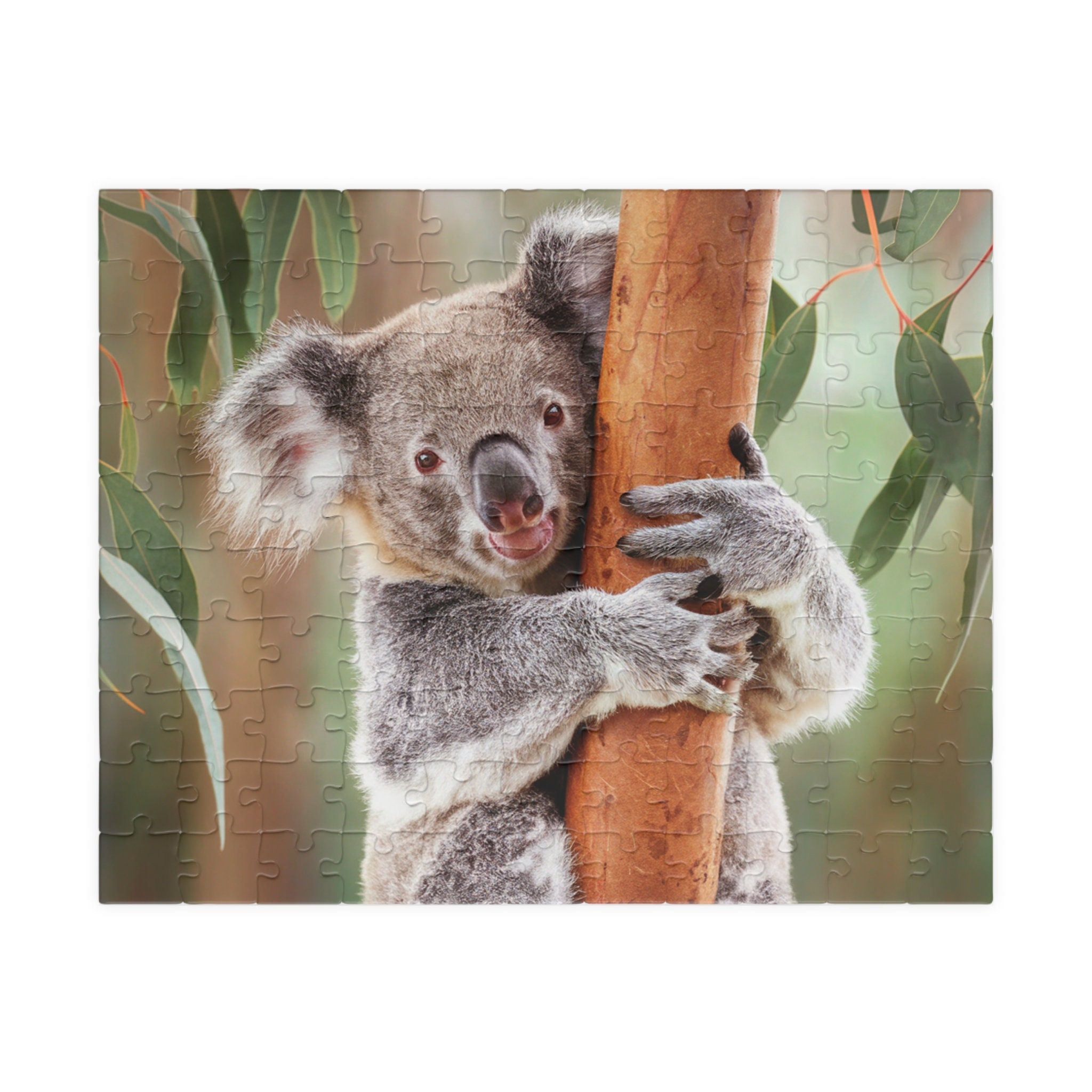 Koala Jigsaw Puzzle 110, 252, 500, 1014-piece Wildlife Photography ...