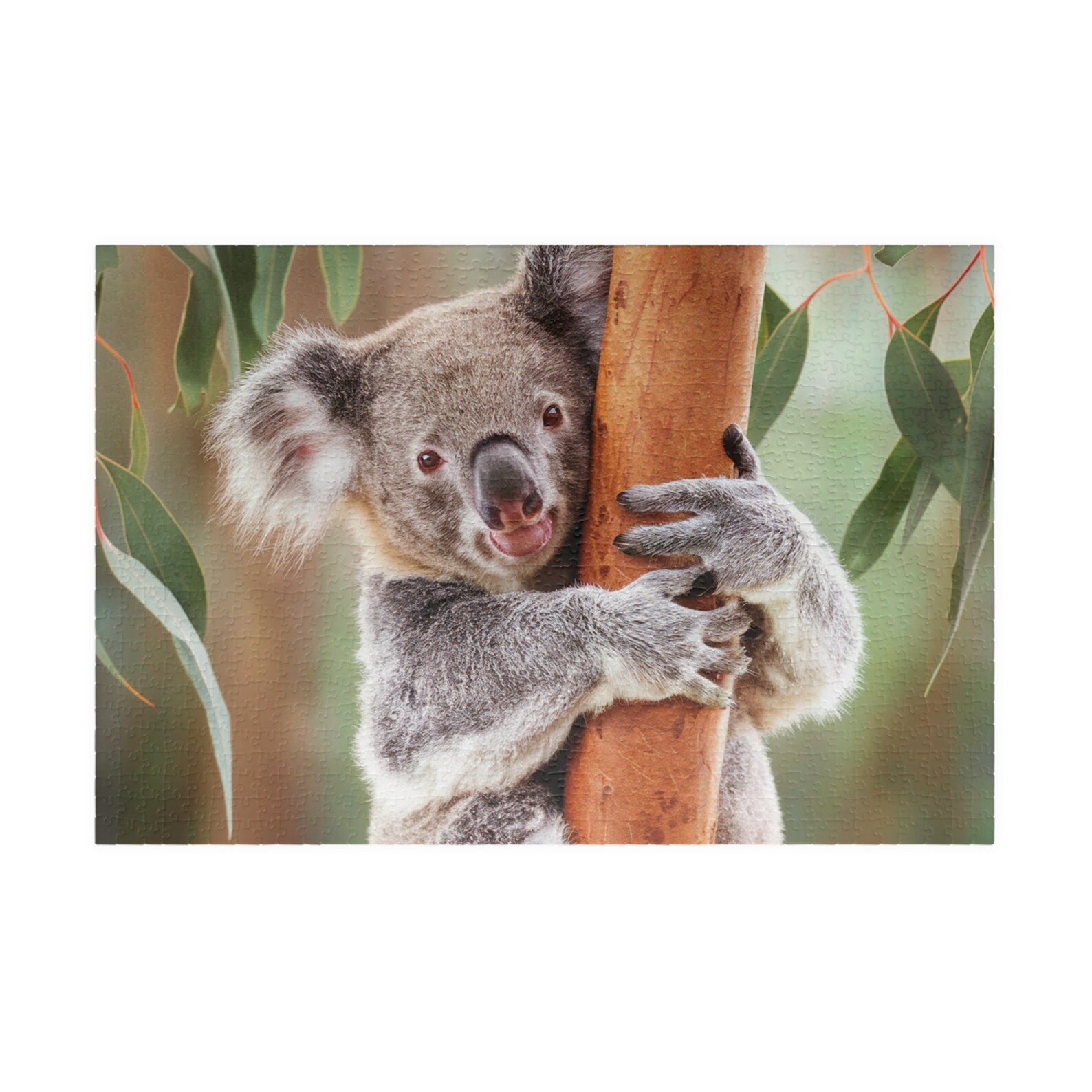 Koala Jigsaw Puzzle 110, 252, 500, 1014-piece Wildlife Photography ...