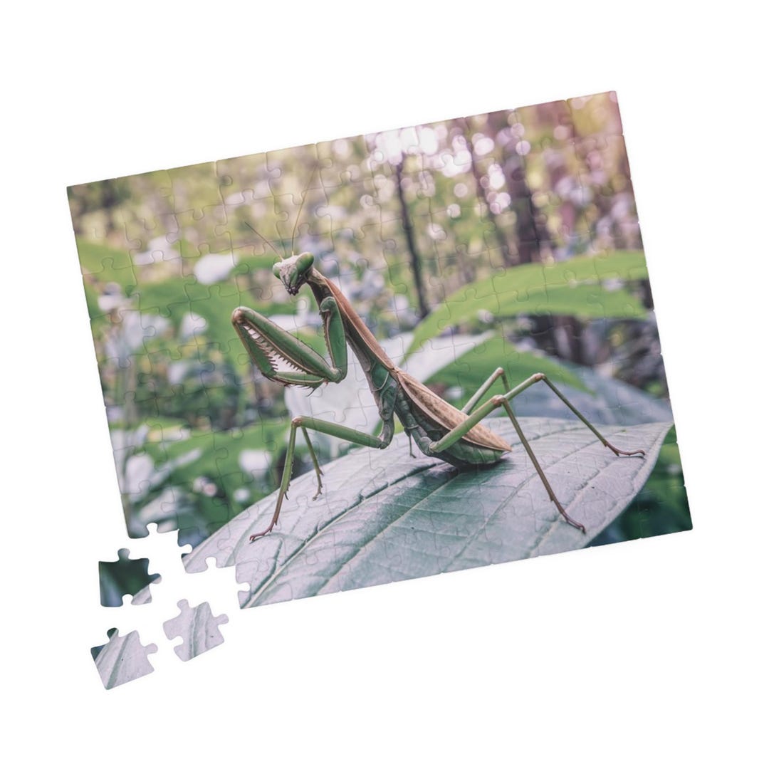 Praying Mantis Puzzle, Puzzle Box, Nature Print, Wildlife, Birthday ...