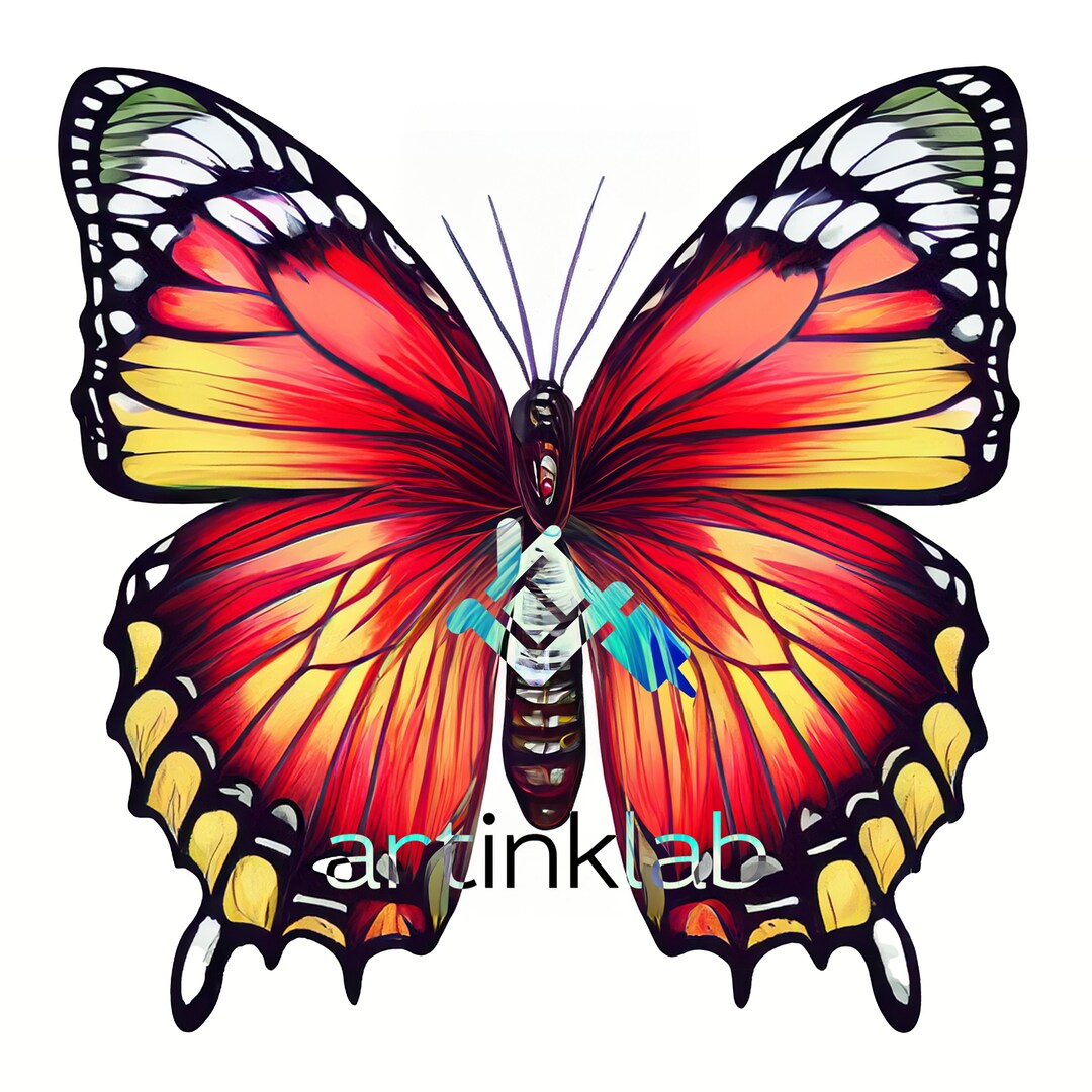 Colorful Butterfly Clipart Design, Digital Butterfly Design | High ...