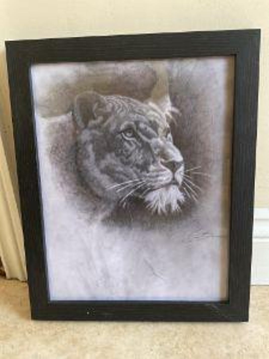 Lion Graphite Drawing - Etsy