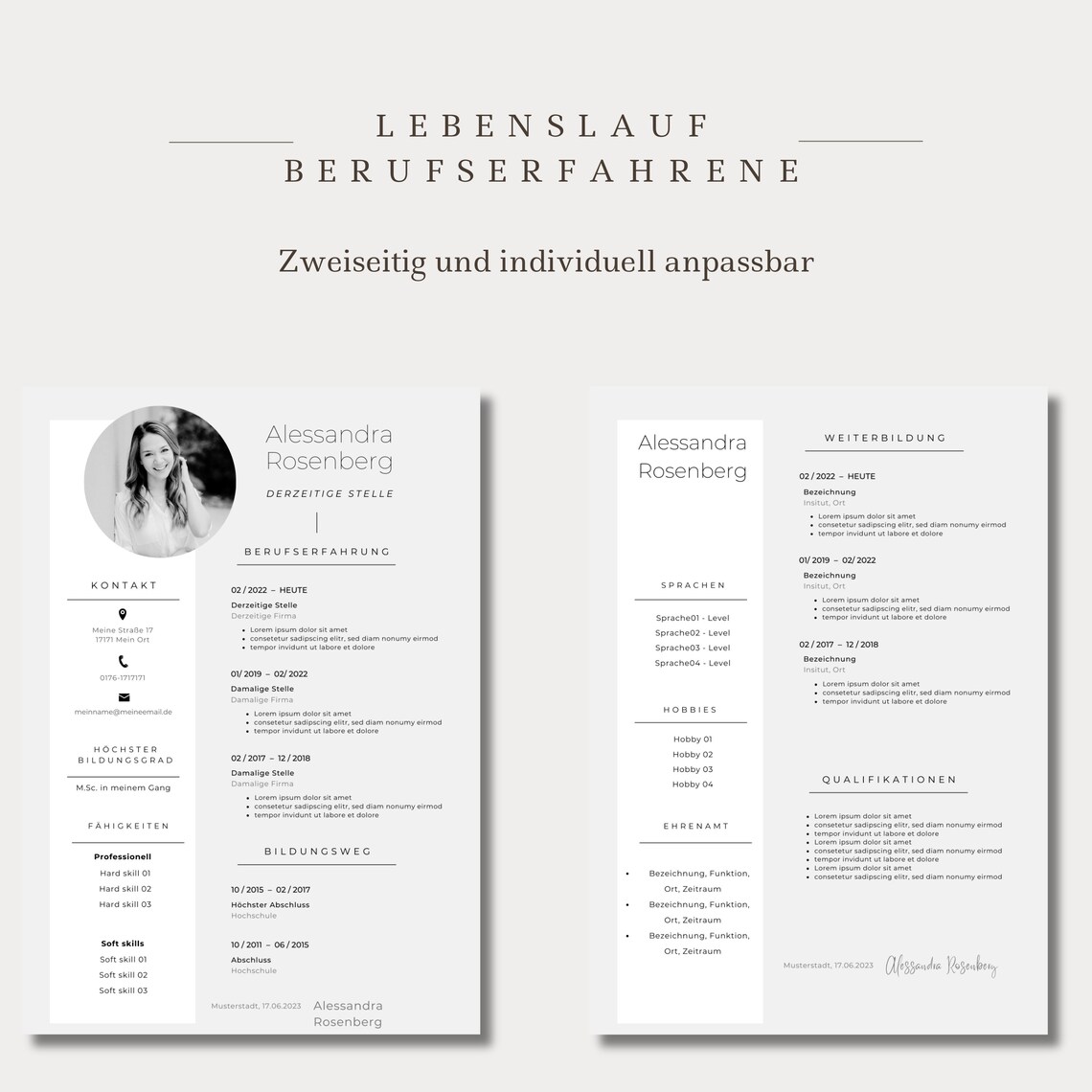 Modern Application Templates German Tabular CV Template Cover Sheet ...