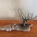 Black Steel Wire Tree Sculpture on Driftwood Base Handcrafted Art Piece ...