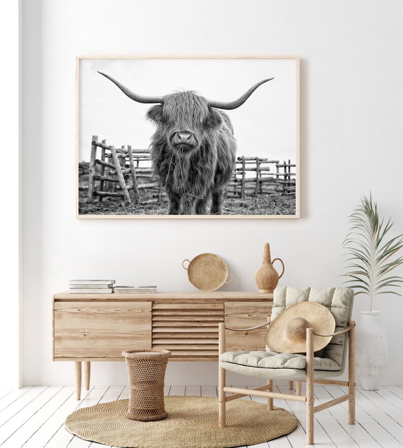 Highland Cow Photo on Print or Canvas, Rustic Modern Farmhouse Decor ...