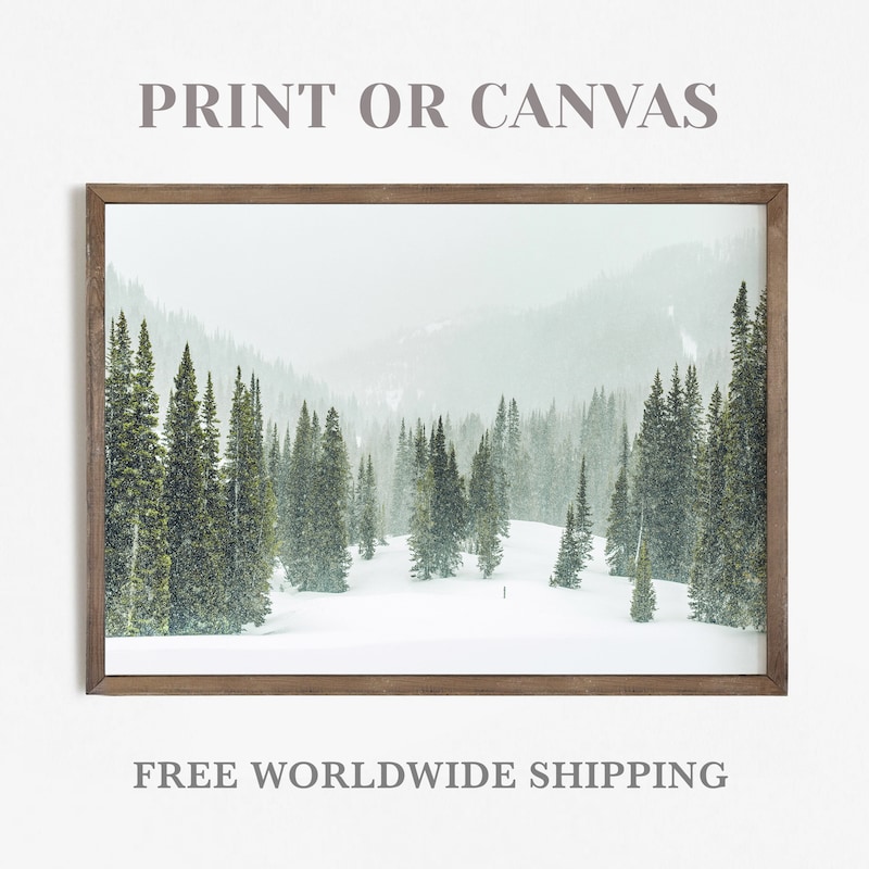 Pine Tree Poster - Etsy