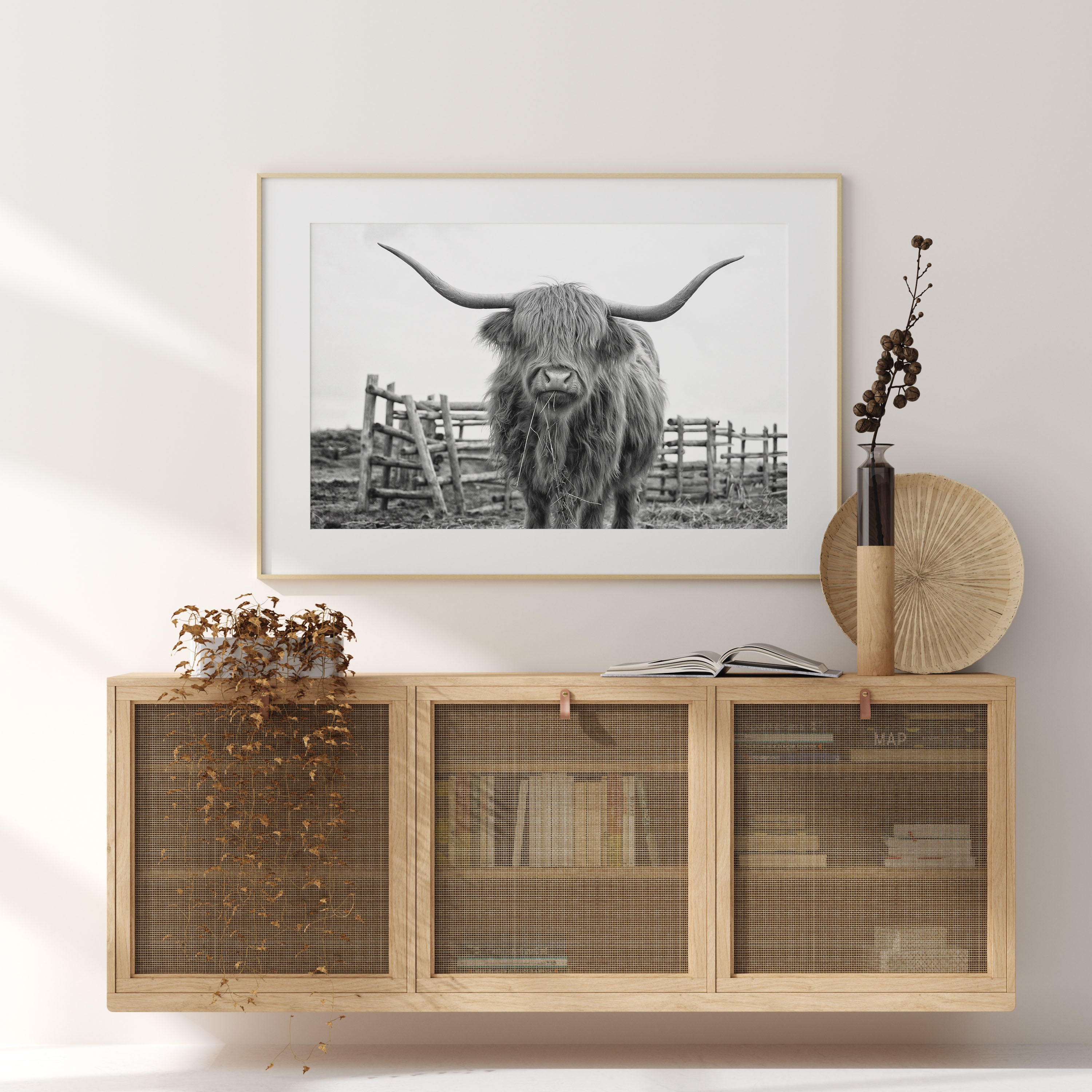 Highland Cow Photo on Print or Canvas, Rustic Modern Farmhouse Decor ...