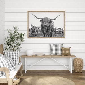 Highland Cow Photo on Print or Canvas, Rustic Modern Farmhouse Decor ...