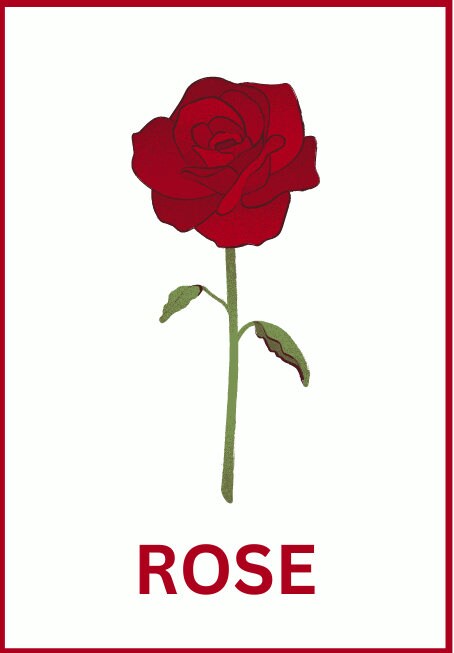 Flowers Flashcards for Preschoolers - Etsy