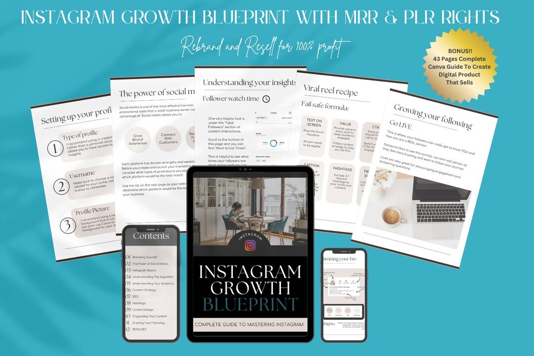 Instagram Growth Blueprint | A Complete Guide to Grow Your Instagram | PLR Digital Guide With ...
