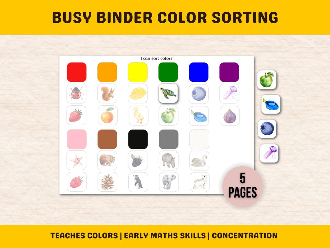 Color Sorting Activity for Busy Binders - Educational Preschool ...