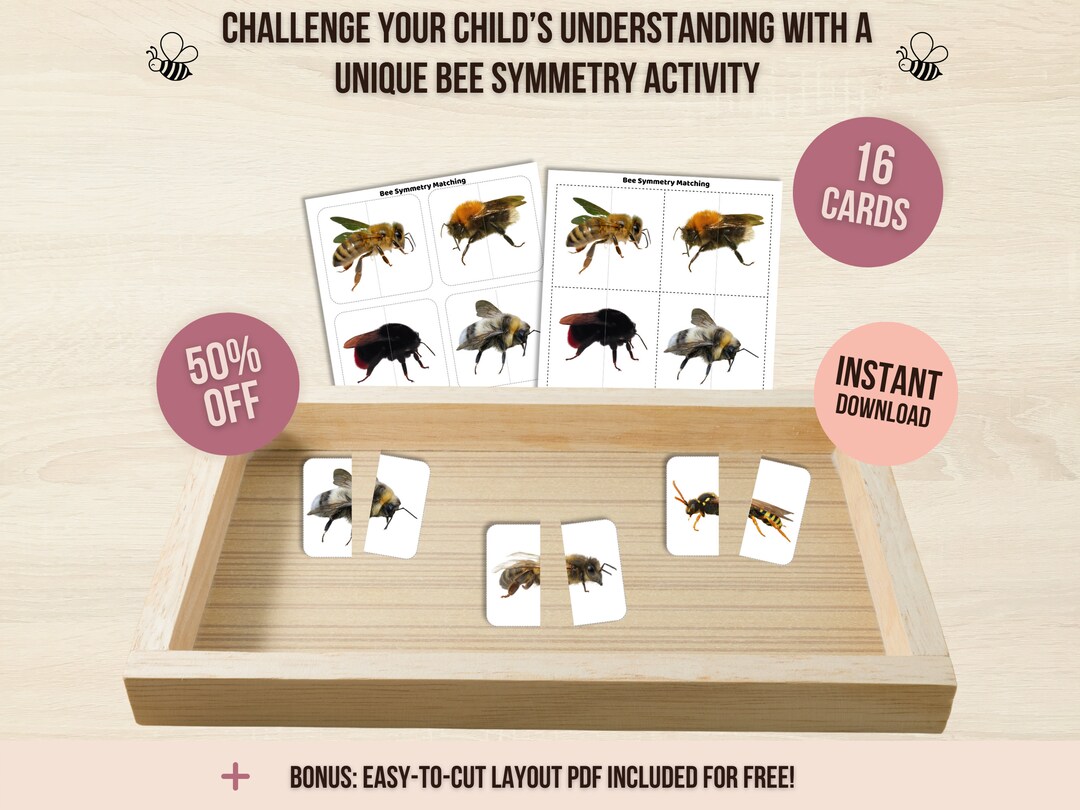 Bee Symmetry Matching Cards, Symmetry Cards, Toddler Preschool Activity ...