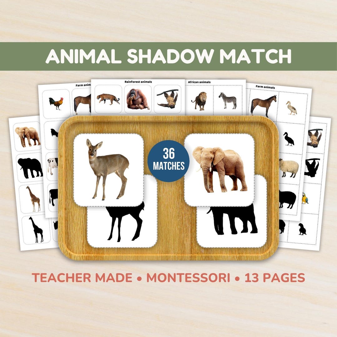 Animal Shadow Matching Cards | Real Photo Printable | Montessori ...