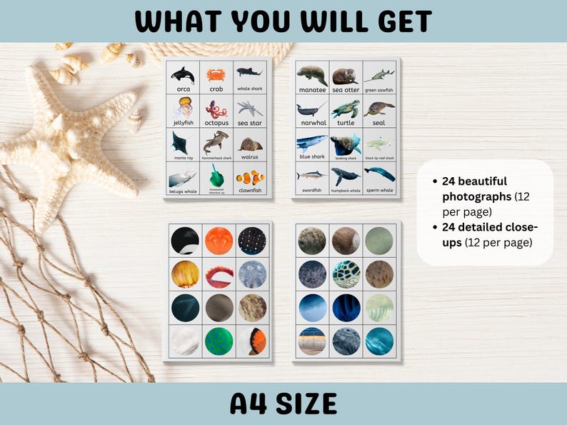 Ocean Animals Pattern Matching Game for Preschoolers & Toddlers ...