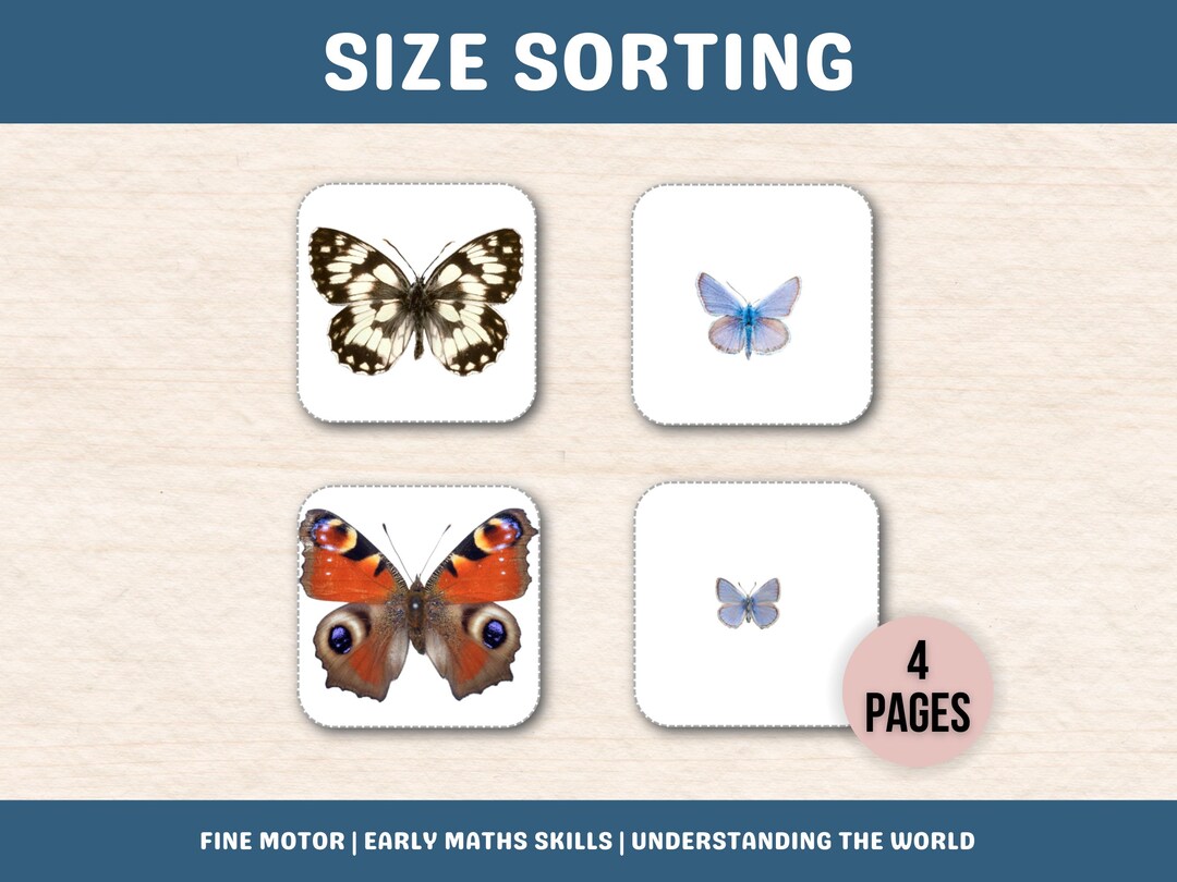 Butterfly Size Sorting Cards, Big and Small, Toddler Preschool Activity ...