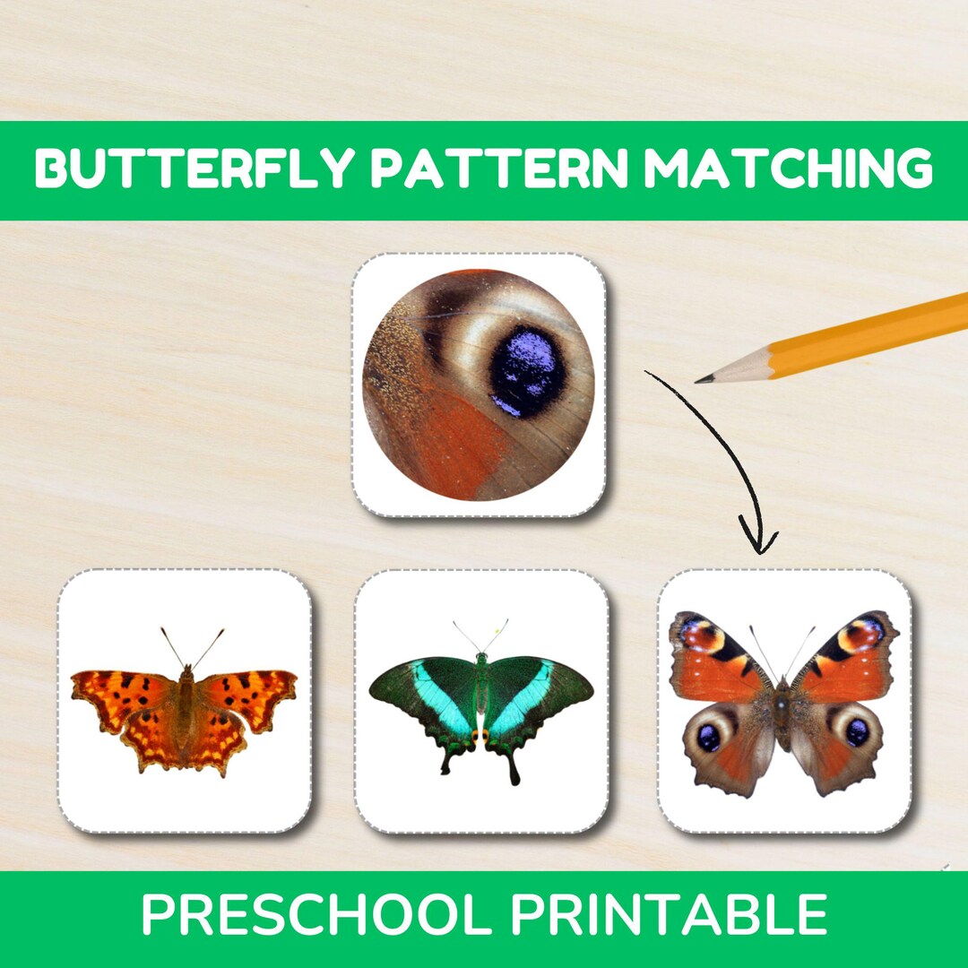 Butterfly Pattern Matching Game | Preschool Printable | Early Reading ...