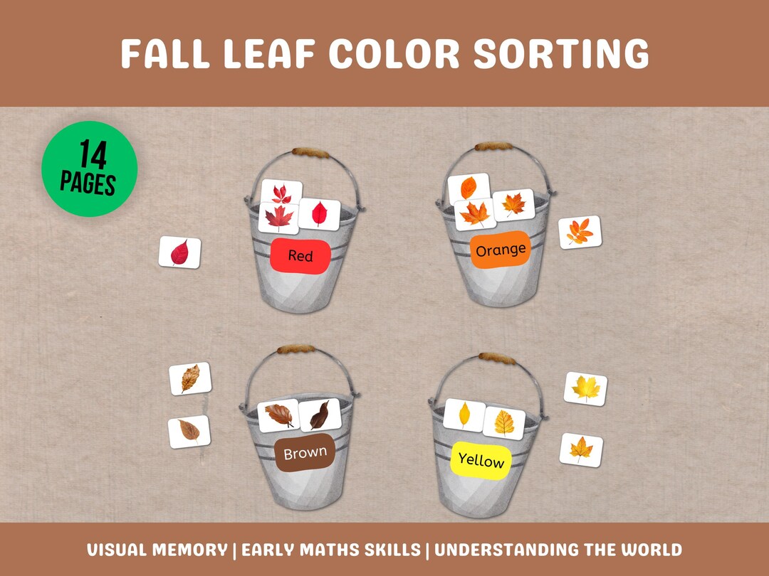 Autumn Leaf Color Sorting Game - Fun Preschool Learning Activity, Fine ...